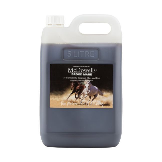 McDowells Herbal Brood Mare 5 Litre Herbal Tonic To Support Pregnant ...